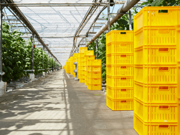 Best Plastic Storage Crates Manufactures In Uae - Tekin Plast