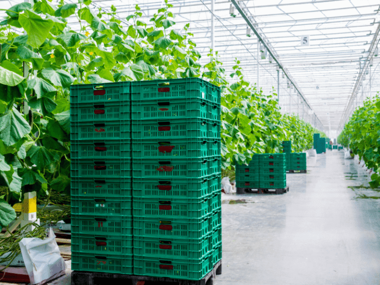 Best Plastic Storage Crates Manufactures In Uae - Tekin Plast